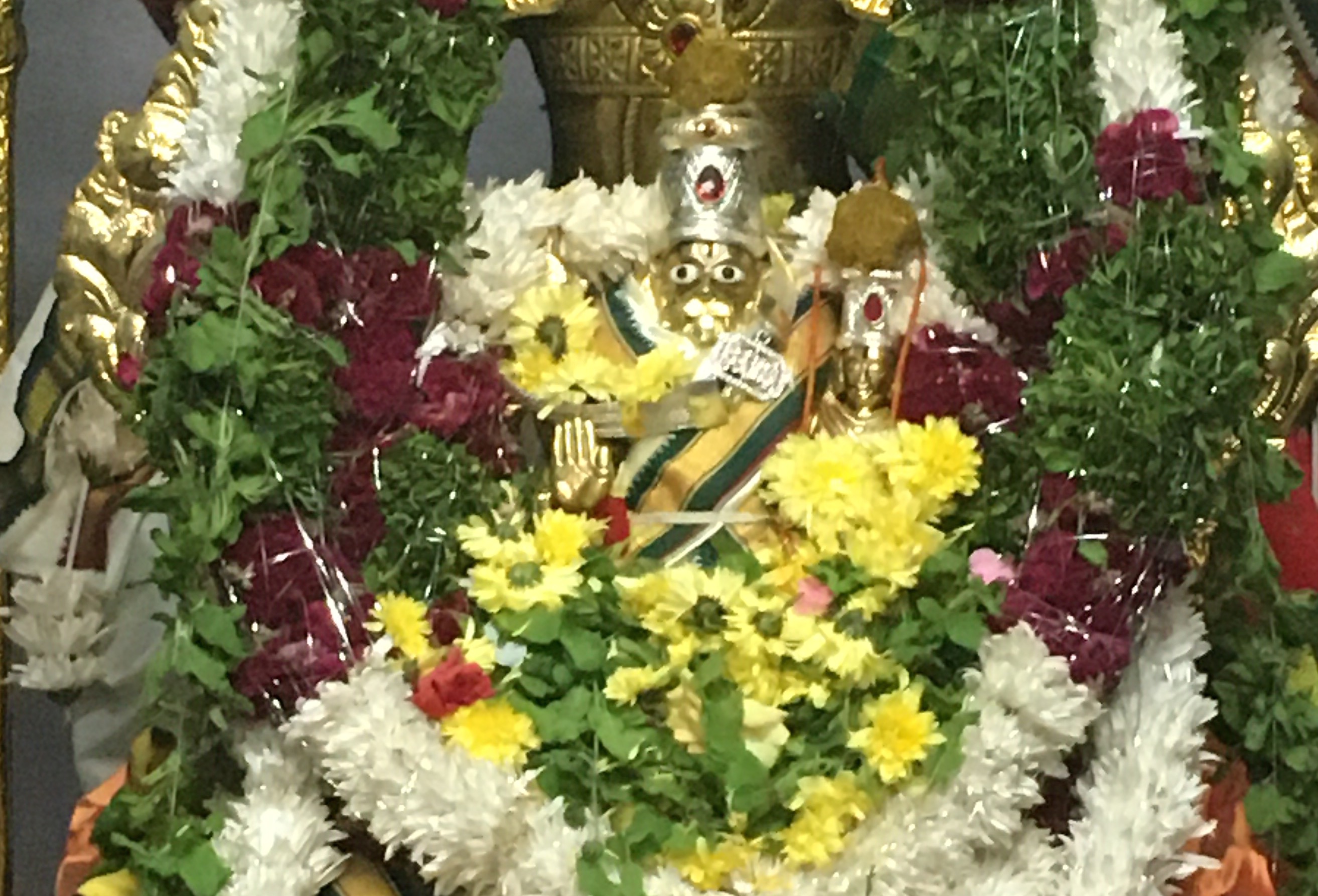 Welcome to our site - kitambifoundation.in